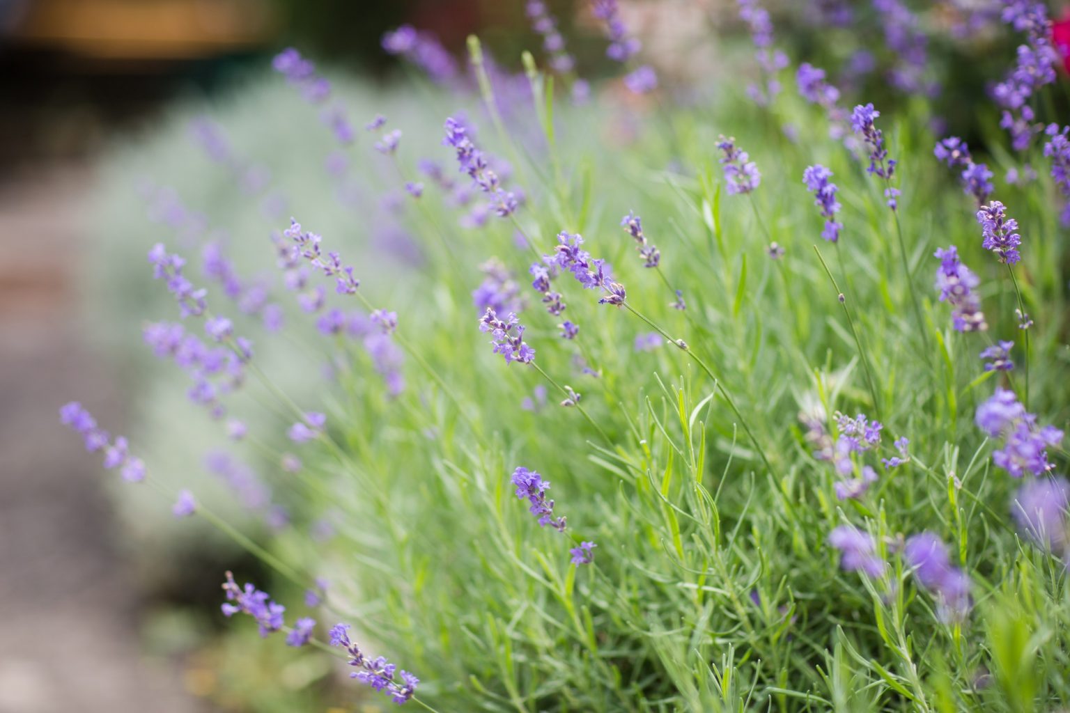 How Our Sacramento Therapists Create a Safe Space for Every Family Member